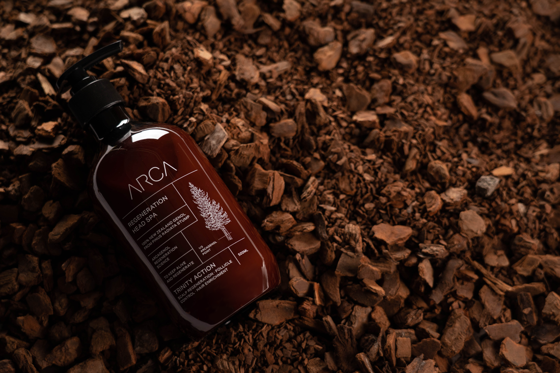 Premium Eco-Friendly Full Service Salon in Los Angeles, CA - Hair ARCA